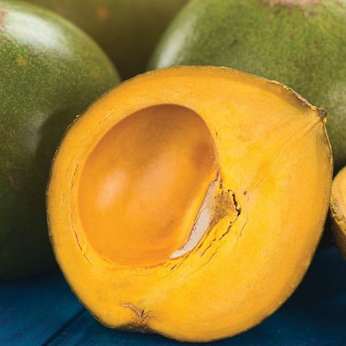 Lucuma – Health Results