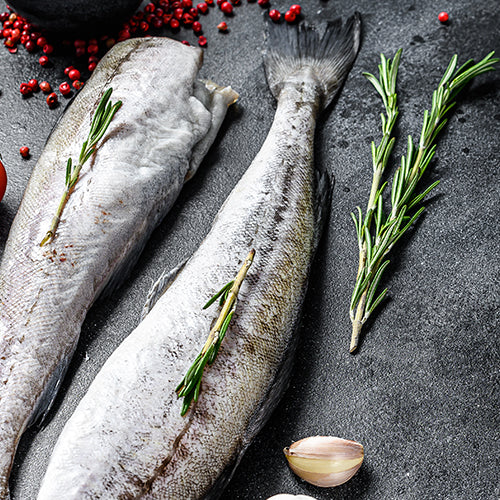 Pollock – Health Results
