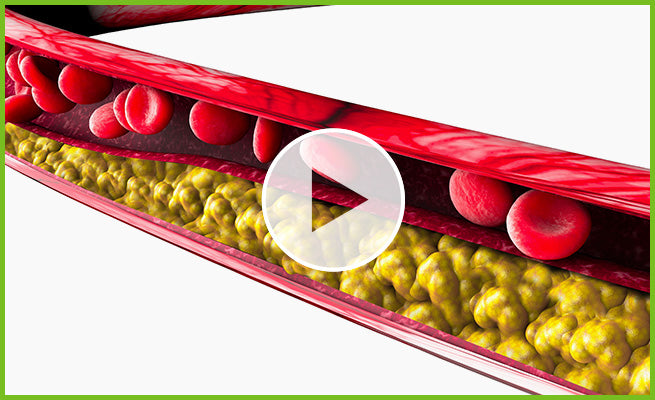 How to measure your triglyceride level at home – Health Results